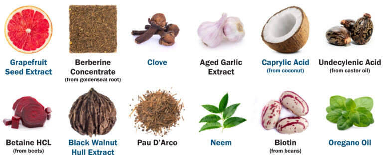 Download Your Free Candida Starter Kit | CanXida Guides